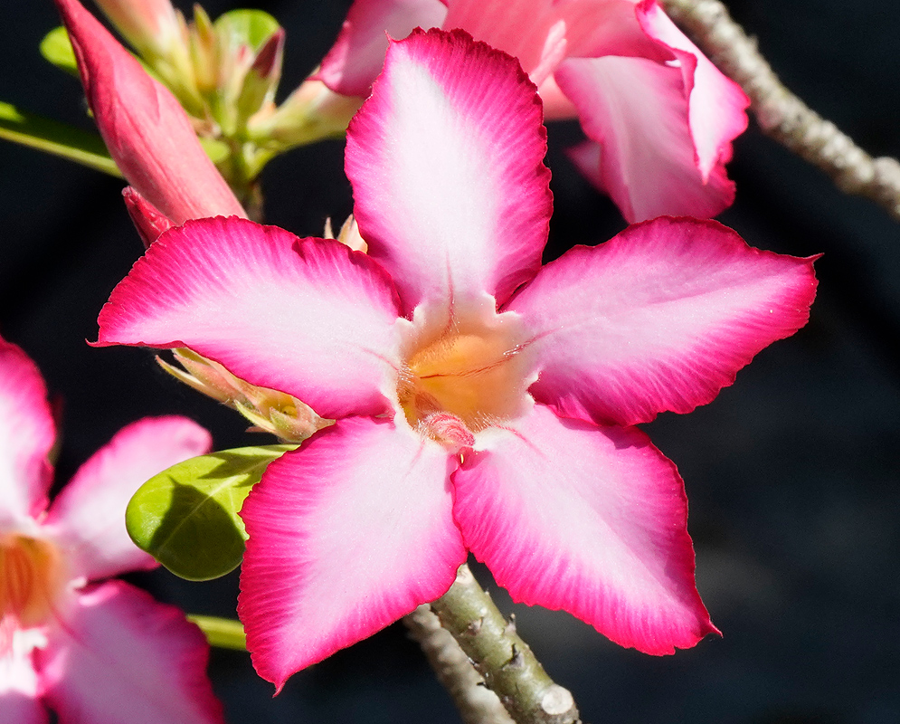 Enjoy a Colombia Vacation Tour, a Customized South America Adventure